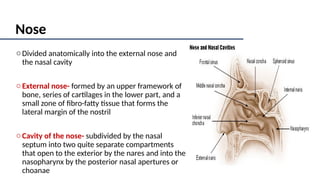 Respiratory Anatomy and anesthesiology.ppt