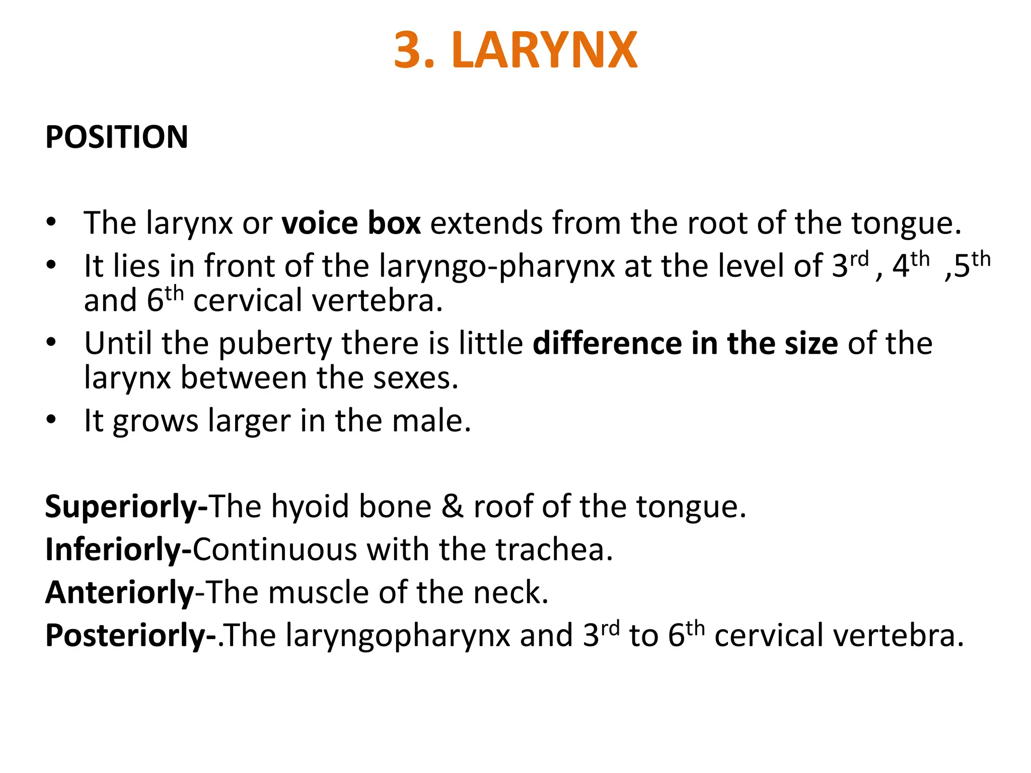 respiratory system and the related organs | PPTX
