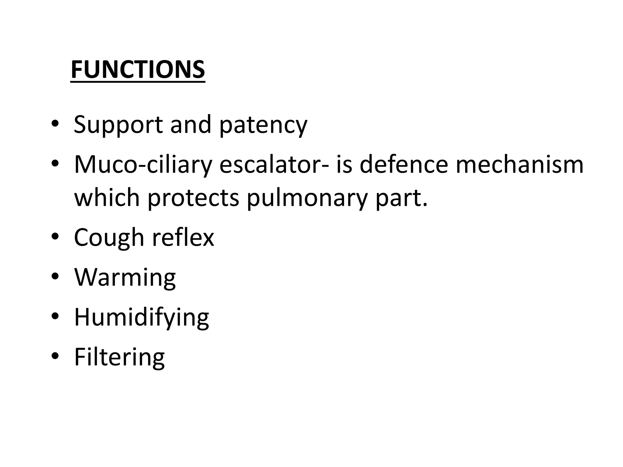 respiratory system and the related organs | PPTX