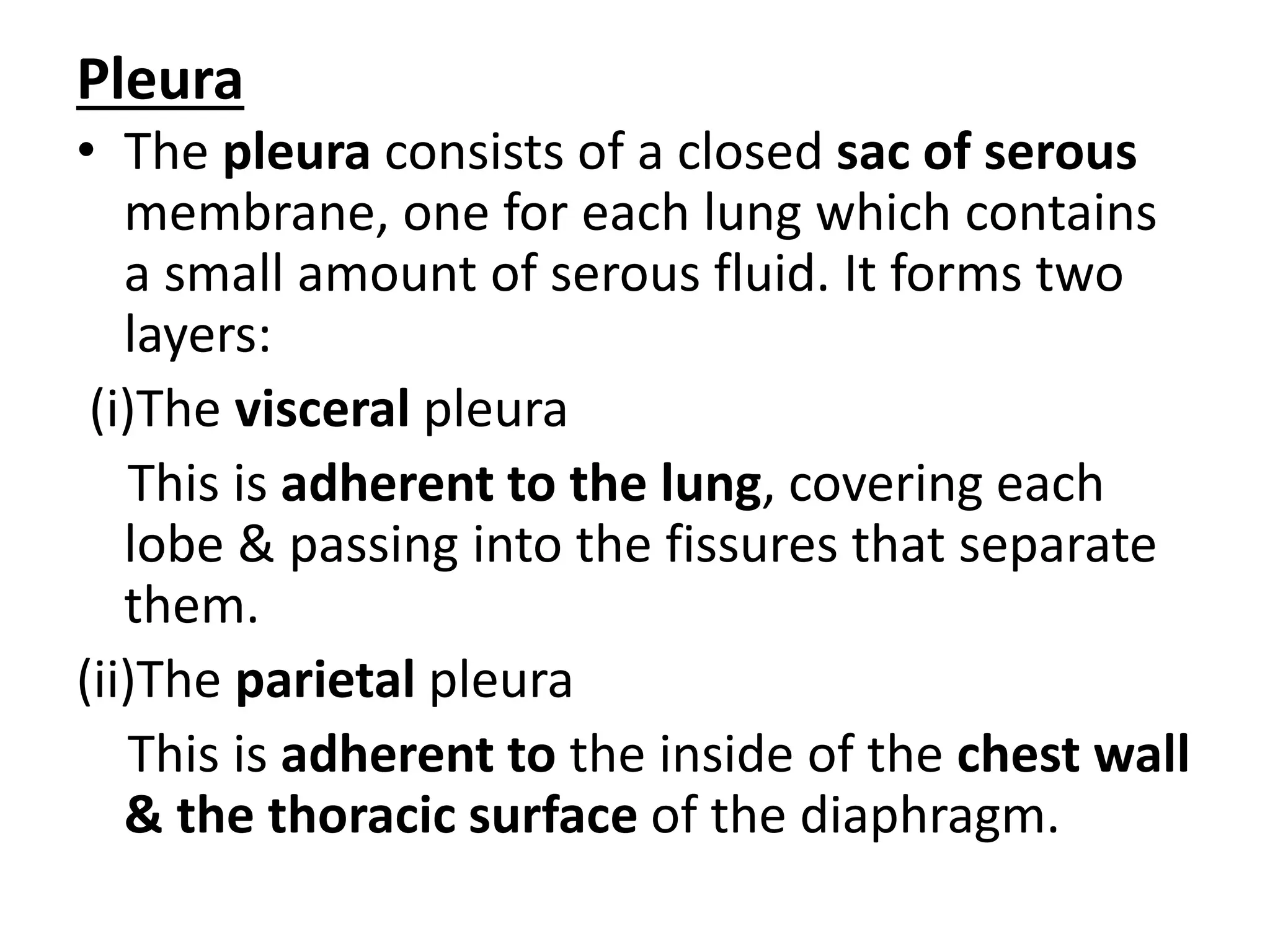 respiratory system and the related organs | PPTX
