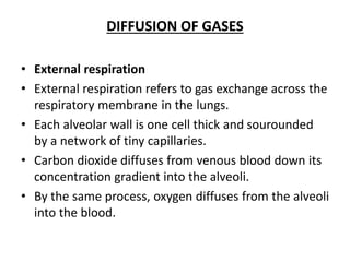 respiratory system and the related organs | PPTX