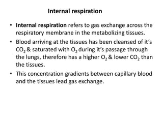 respiratory system and related organs anatomy physiology | PPTX