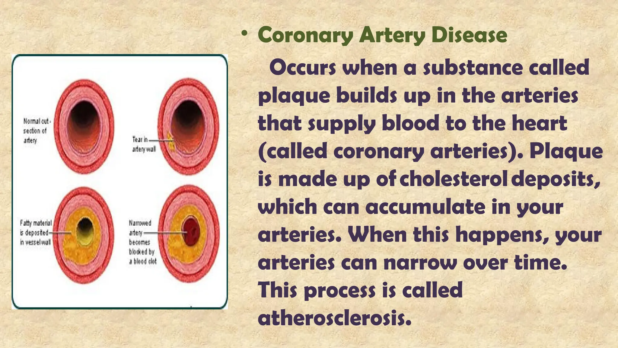 RESPIRATORY AND CIRCULATORY DISEASES.pptx | Heart and Cardiovascular Diseases | Diseases and ...