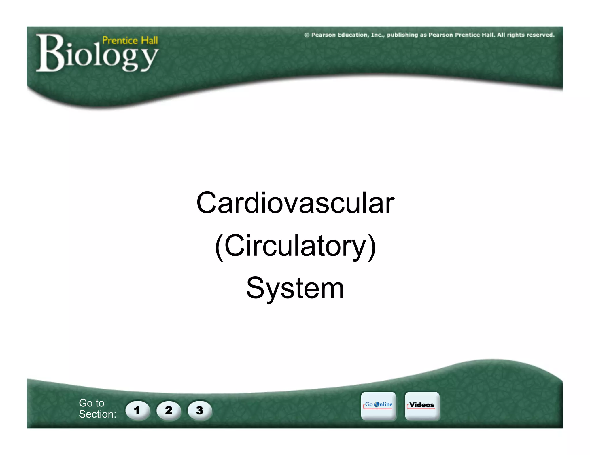 respiratory and circulatory system .pdf | Lung and Respiratory Health ...