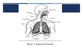Respiratory and circulatory system-Science 9.pptx