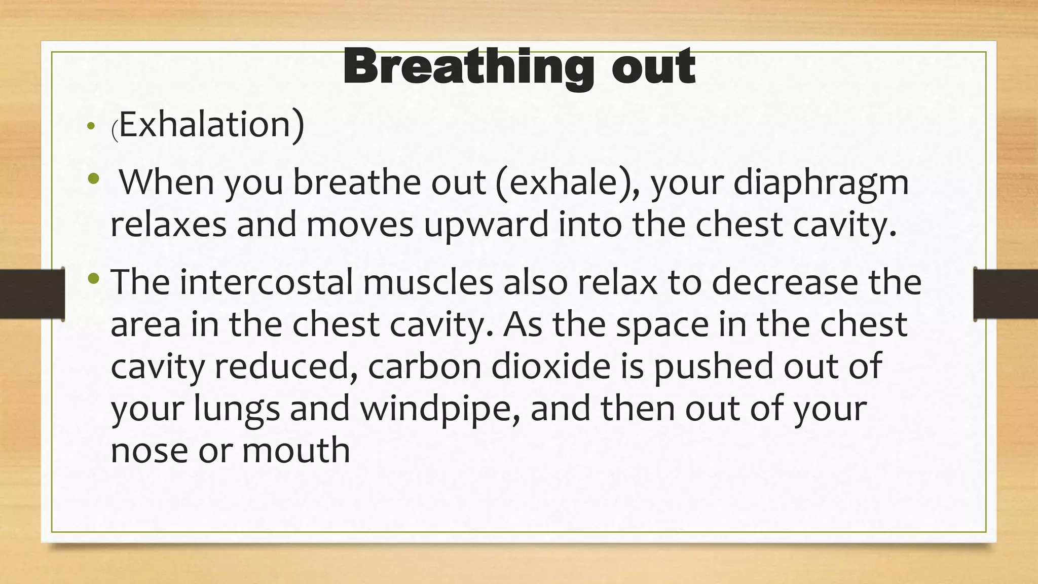 Respiratory and circulatory systems.pptx | Lung and Respiratory Health ...