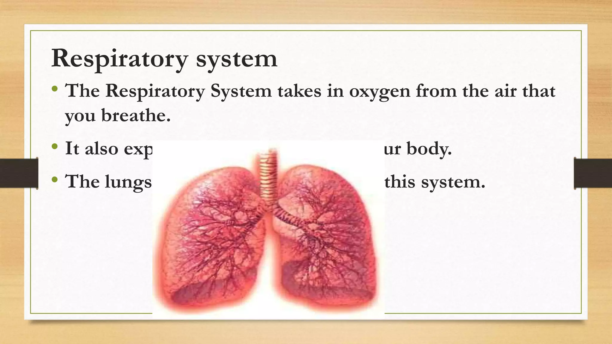 Respiratory and circulatory systems.pptx | Lung and Respiratory Health ...