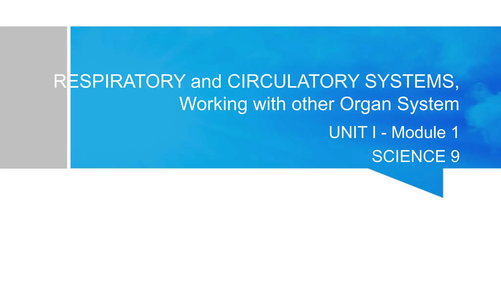 RESPIRATORY and CIRCULATORY SYSTEM.pptx