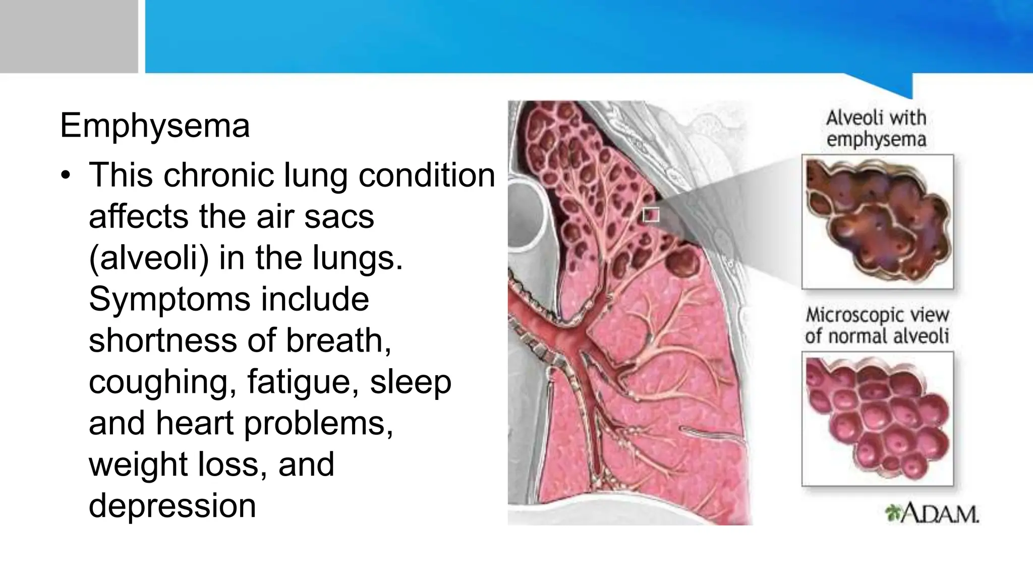 RESPIRATORY and CIRCULATORY SYSTEM.pptx