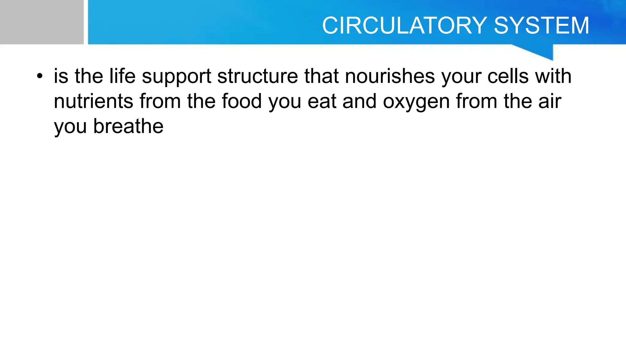 RESPIRATORY and CIRCULATORY SYSTEM.pptx