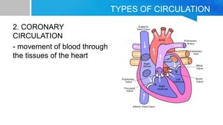 RESPIRATORY and CIRCULATORY SYSTEM.pptx