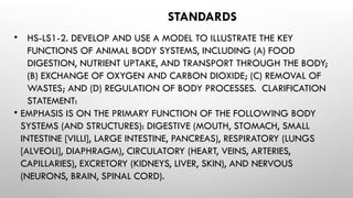 Respiratory and circulatory systems .pptx