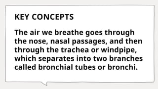 Respiratory and Circulatory Sytems.pptpptx | PPTX