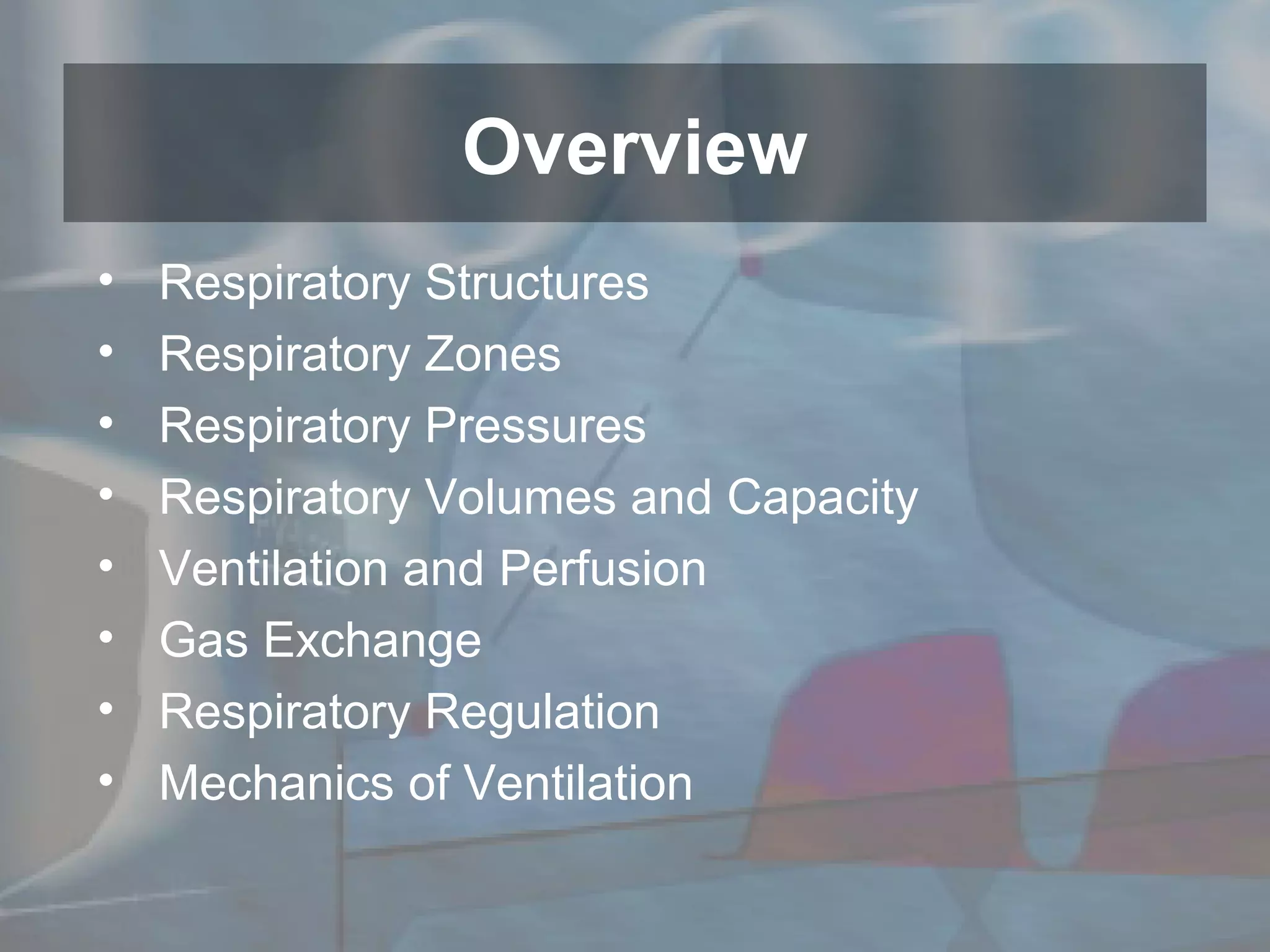 Respiratory: anatomy and physiology | PPT