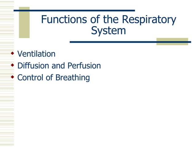 Respiratory assessment | PPT