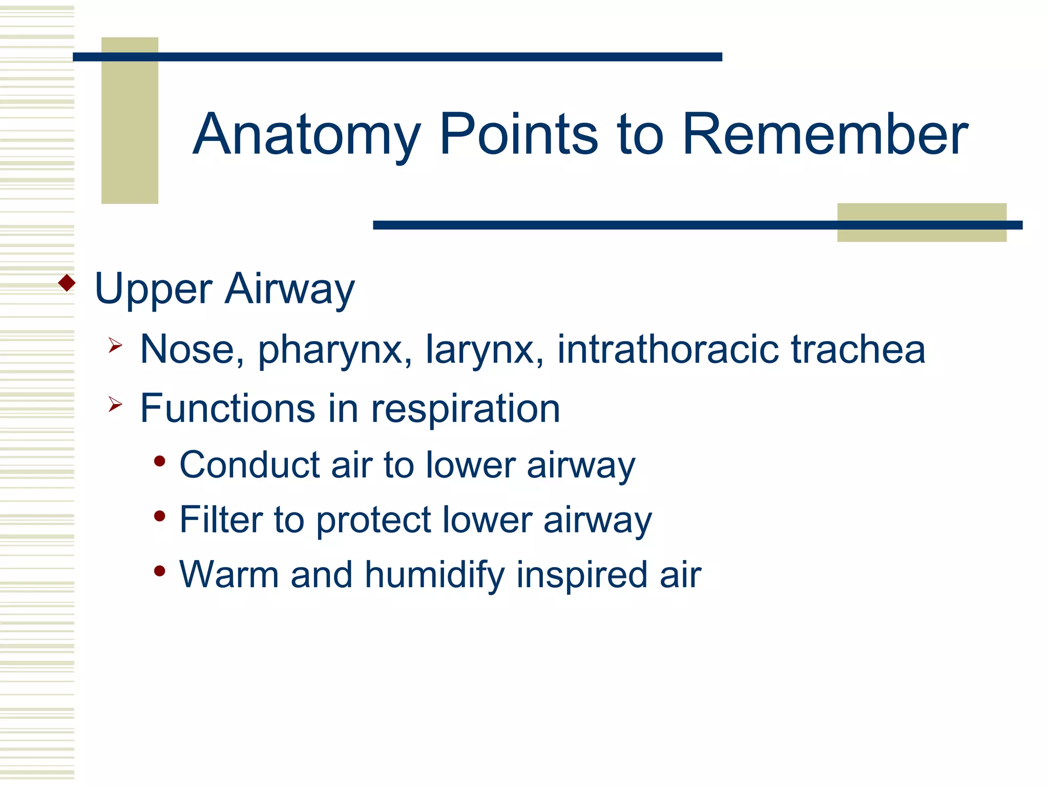 ASSESSMENT OF THE CHEST AND LUNGS | PPT