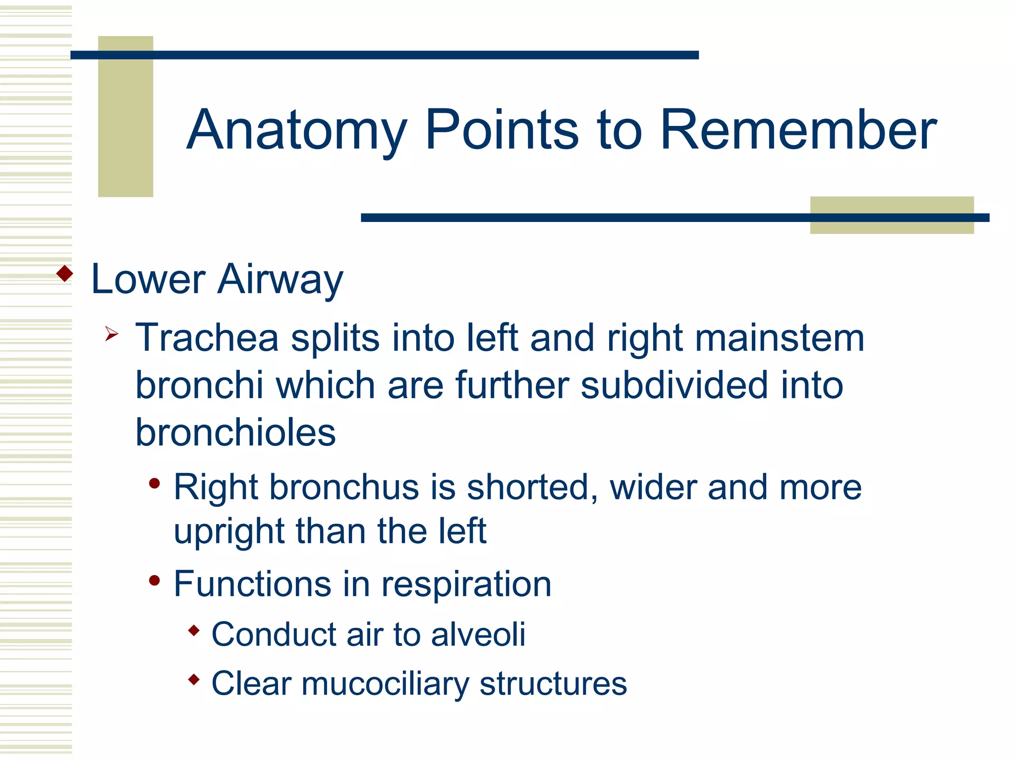 ASSESSMENT OF THE CHEST AND LUNGS | PPT
