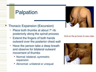 ASSESSMENT OF THE CHEST AND LUNGS | PPT