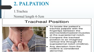 Respiratory assessment | PPTX