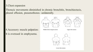 Respiratory assessment.pdf