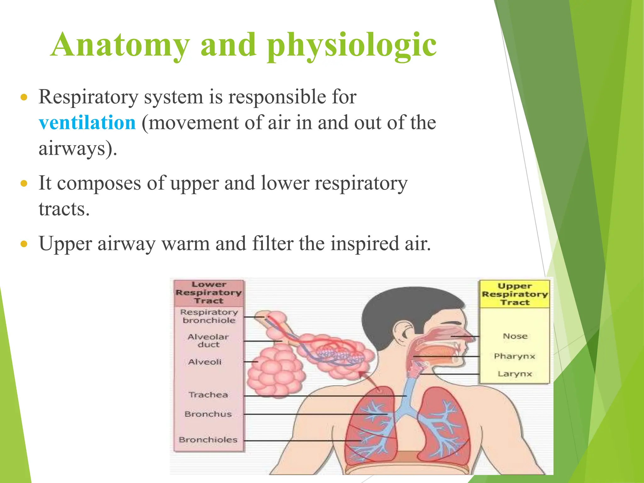 respiratory_assessment_and_disorders_1.ppt