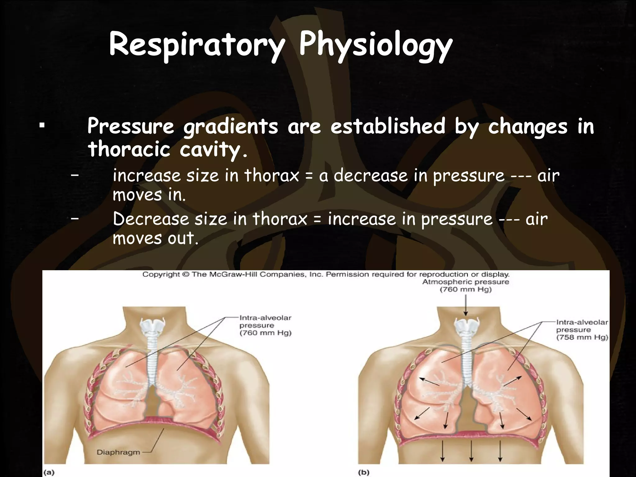 Respiratory System assessment | PPT