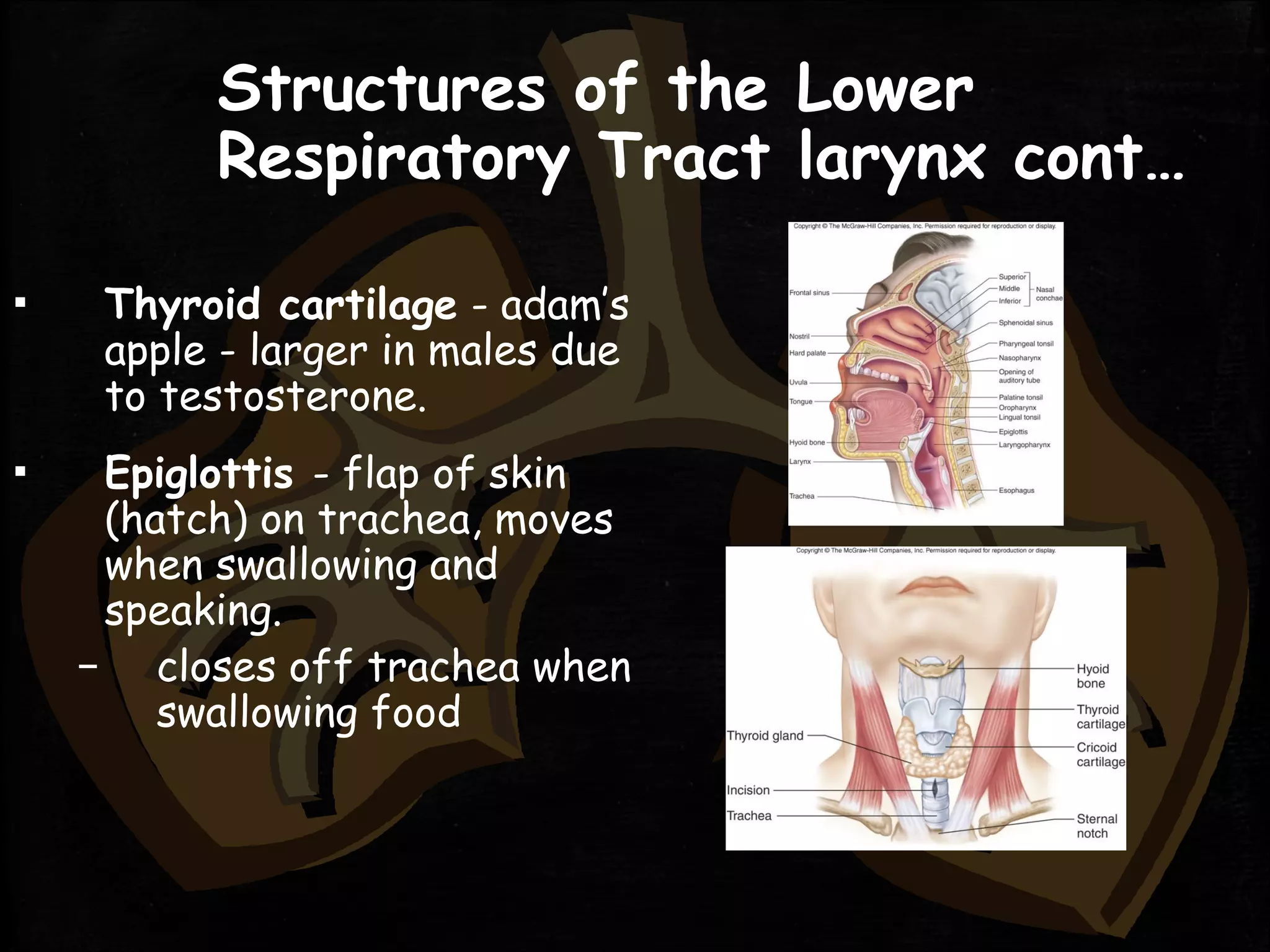 Respiratory System assessment | PPT