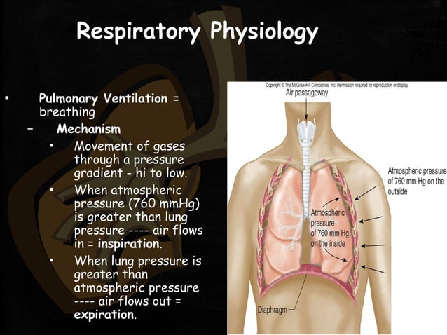 Respiratory System assessment | PPT