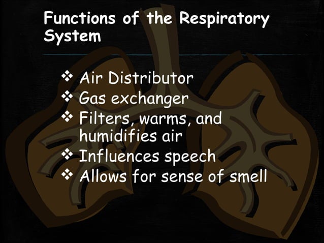 Respiratory System assessment | PPT