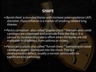 Respiratory System assessment | PPT