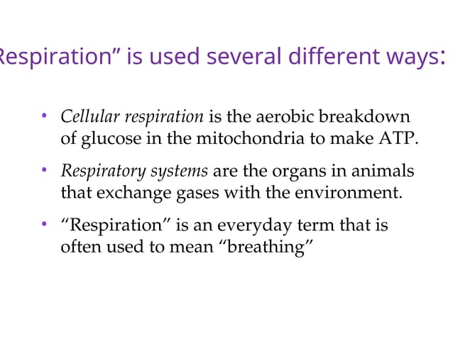RESPIRATORYBIO presentation in BIOSC course | PPT