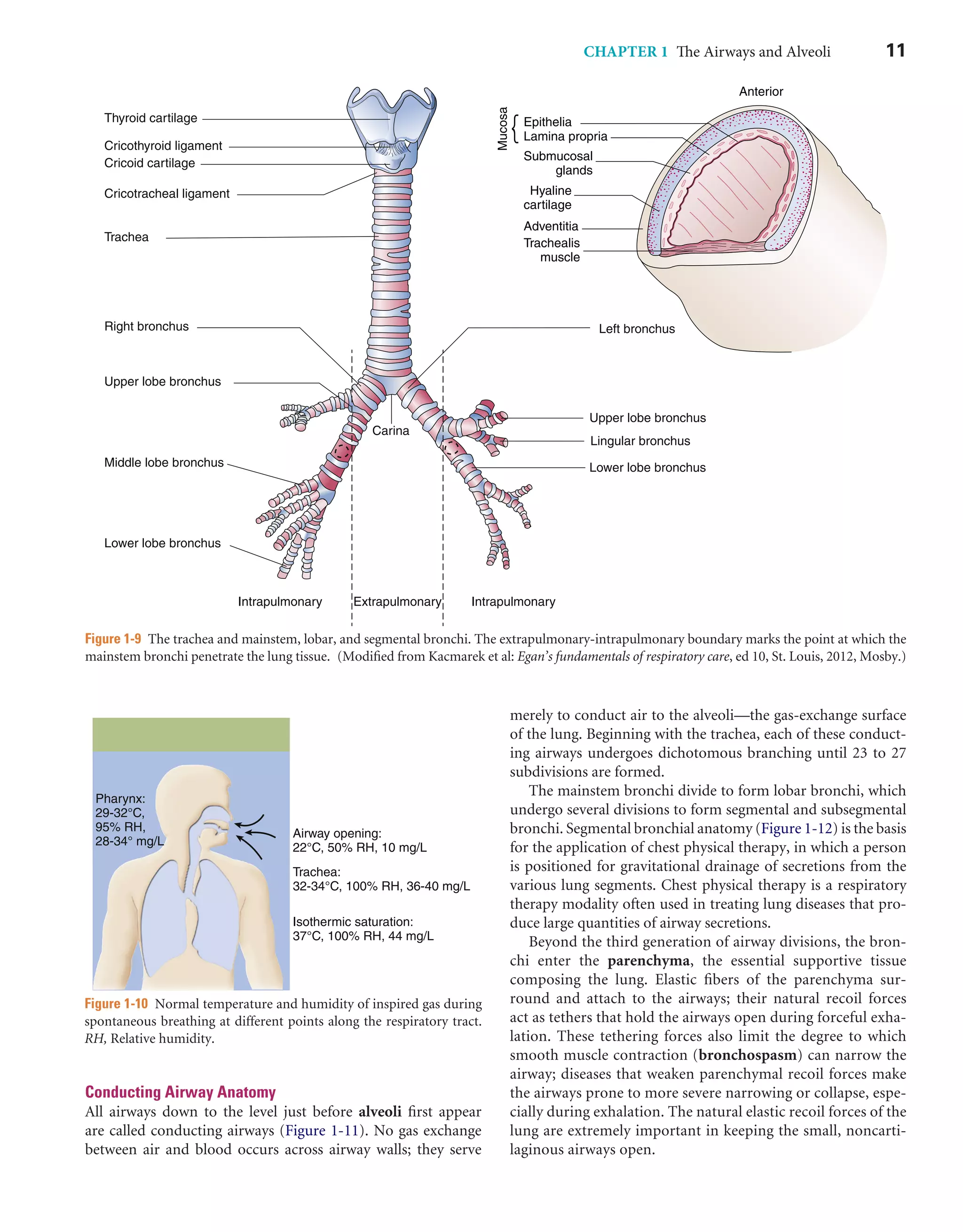 Respiratory Care Anatomy and Physiology (3rd ed).pdf