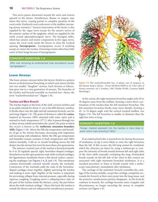 Respiratory Care Anatomy and Physiology (3rd ed).pdf