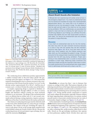 Respiratory Care Anatomy and Physiology (3rd ed).pdf
