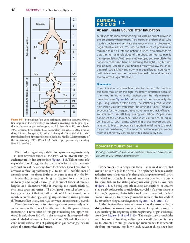 Respiratory Care Anatomy and Physiology (3rd ed).pdf