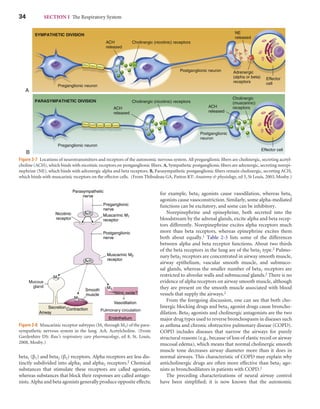 Respiratory Care Anatomy and Physiology (3rd ed).pdf