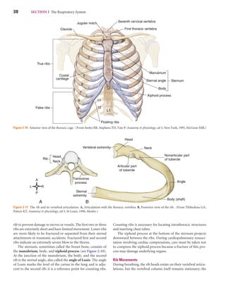 Respiratory Care Anatomy and Physiology (3rd ed).pdf