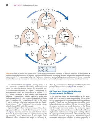 Respiratory Care Anatomy and Physiology (3rd ed).pdf