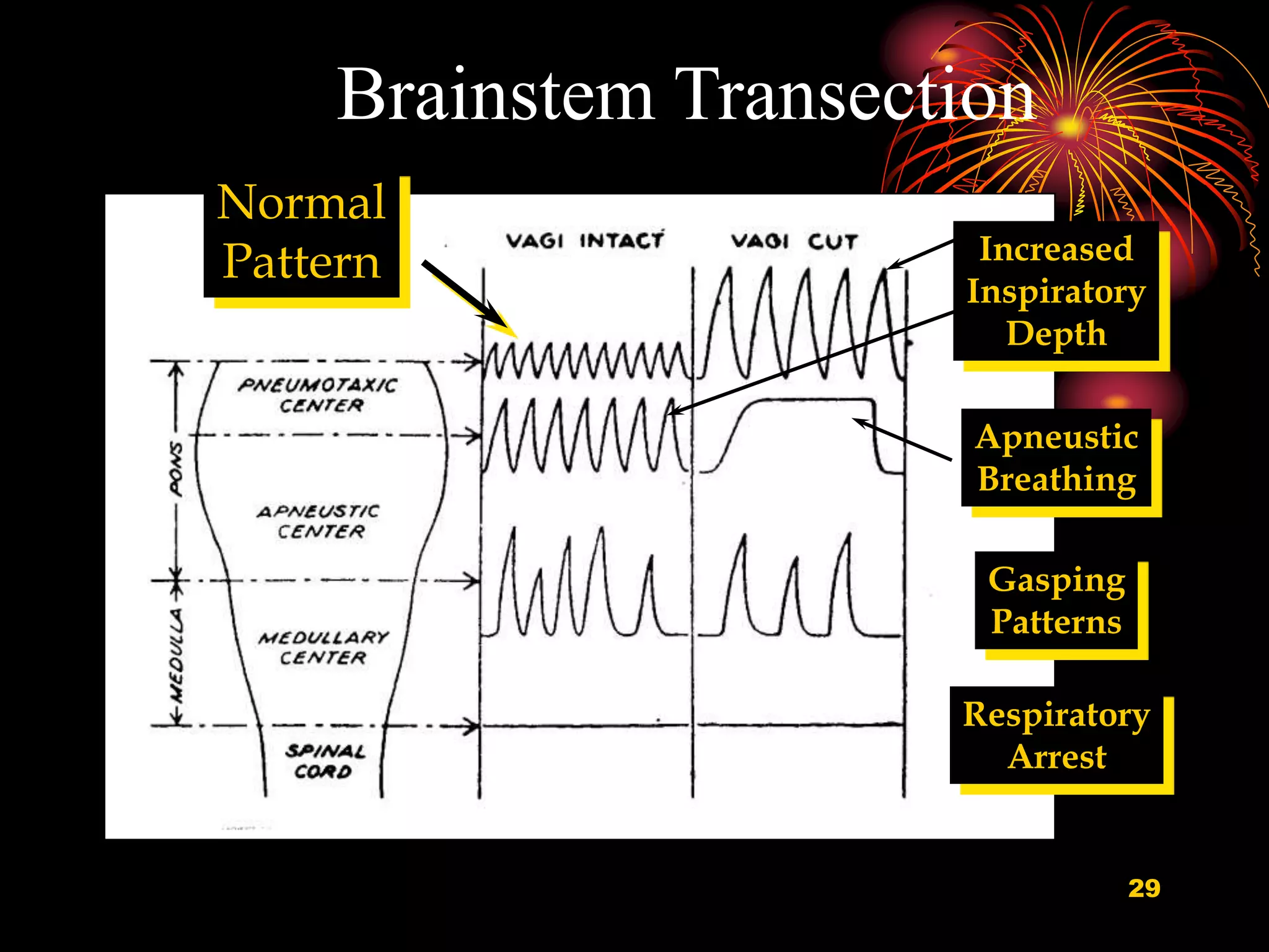 Respiratory Center.ppt