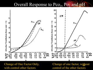 Respiratory Center.ppt