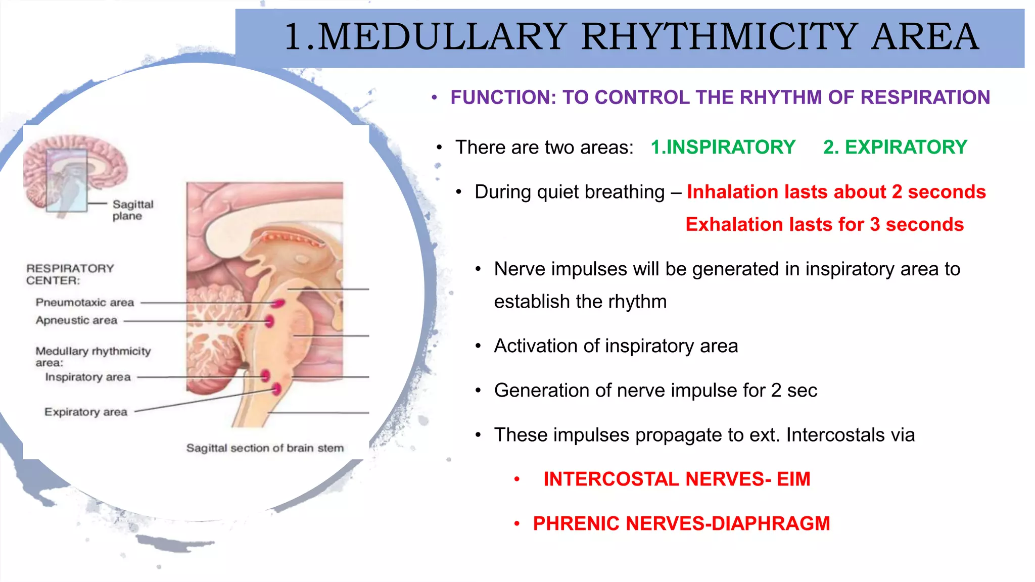 Respiratory centers | PPTX