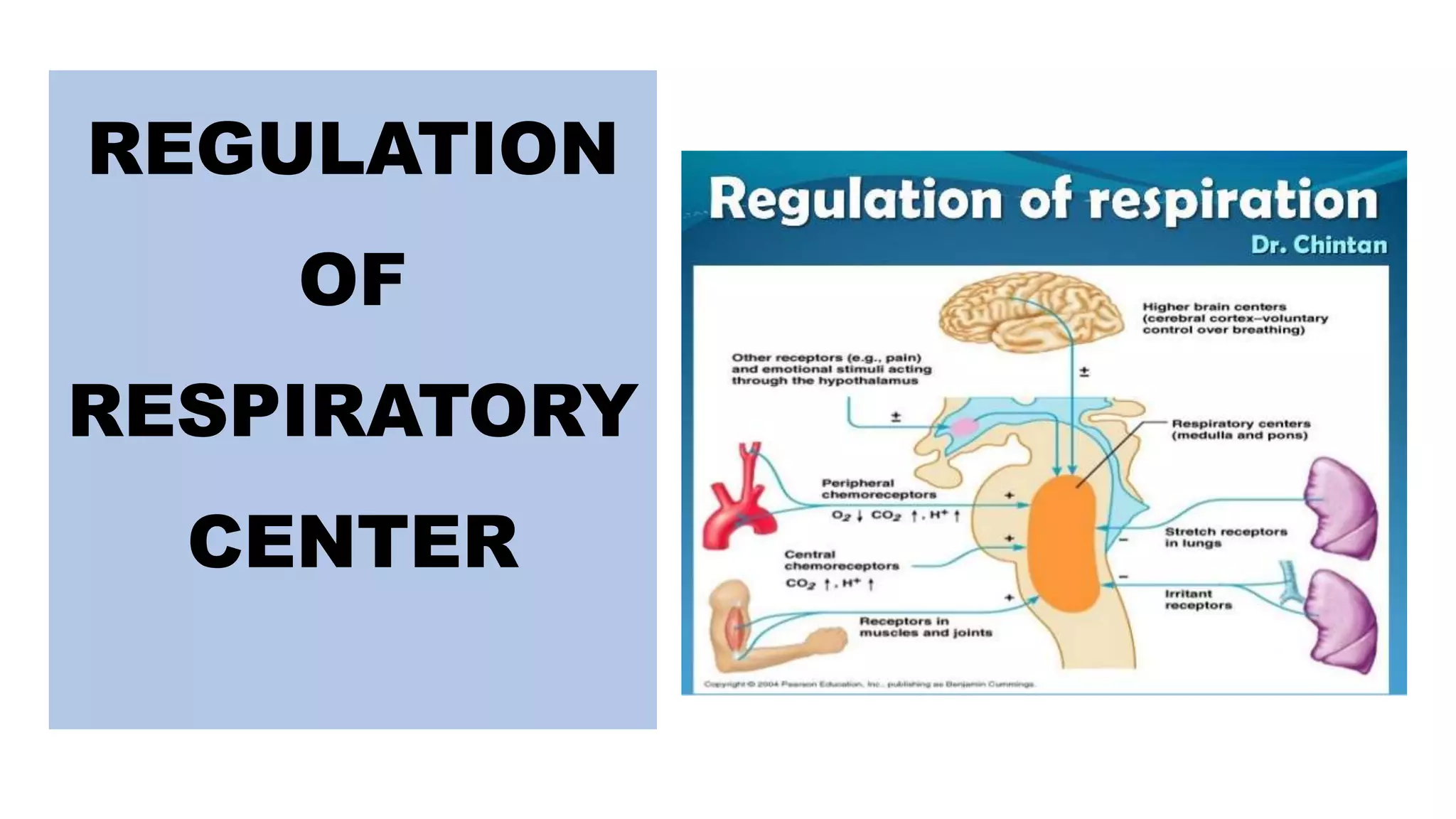 Respiratory centers | PPTX