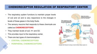 Respiratory centers | PPTX