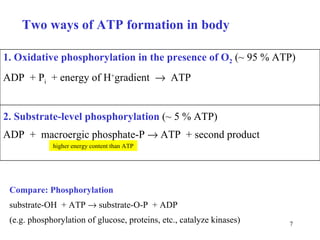 Respiratory chain | PPT