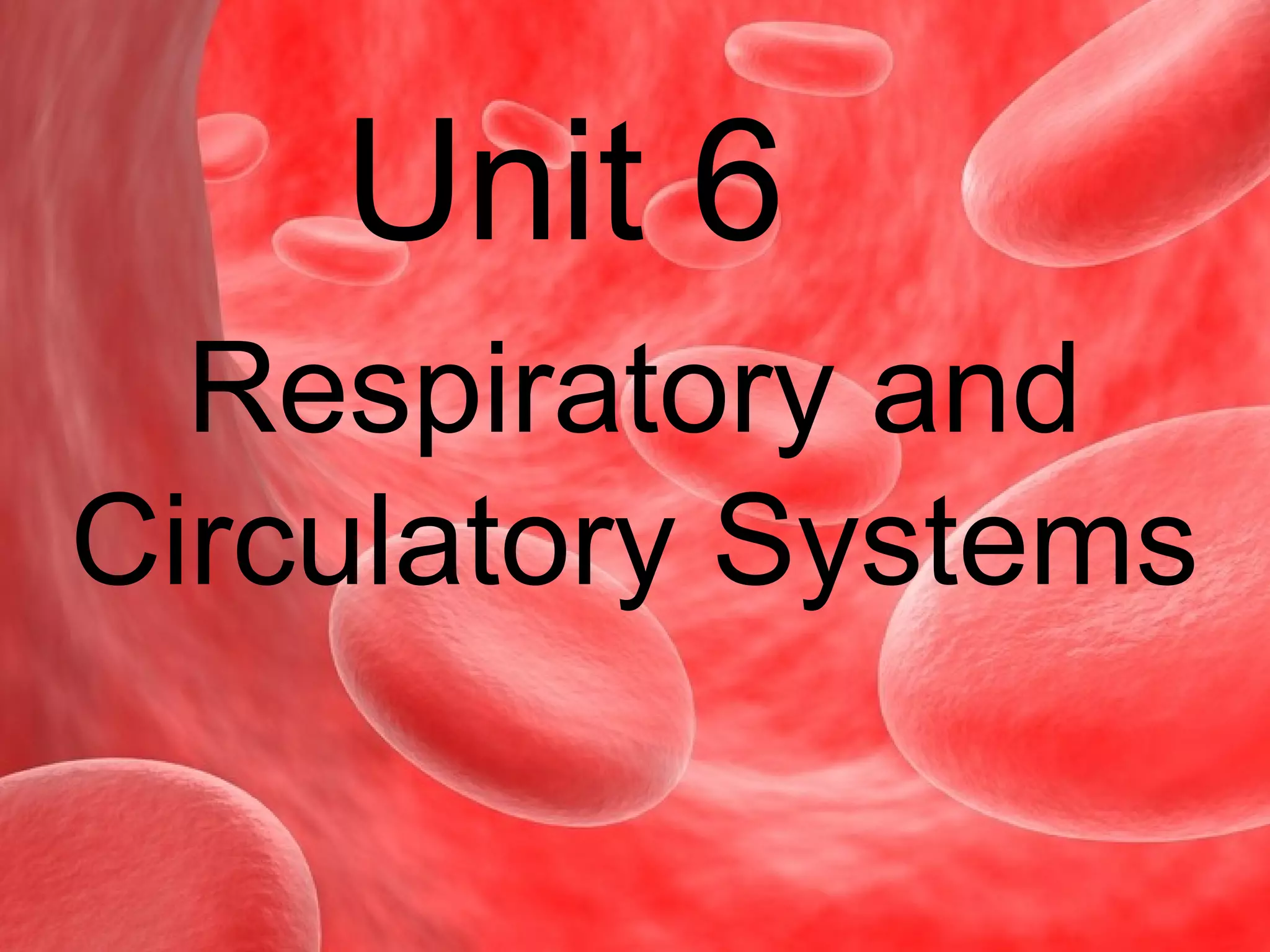Respiratory circulatory lymphatic | PPT