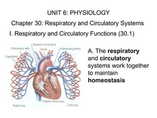 Respiratory circulatory lymphatic | PPT