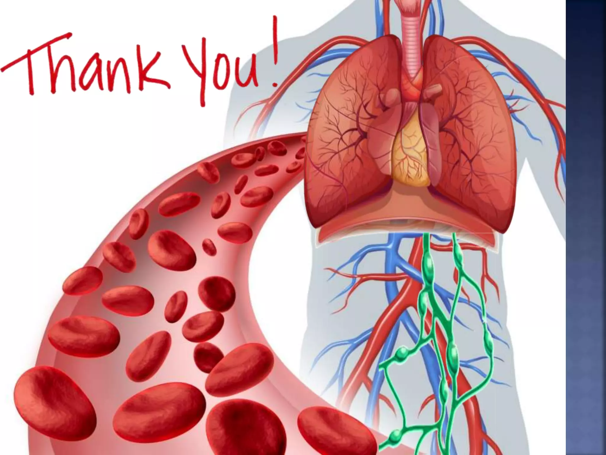 Respiratory & Circulatory System | PPTX