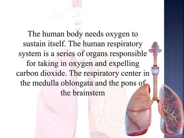 Respiratory & Circulatory System | PPTX
