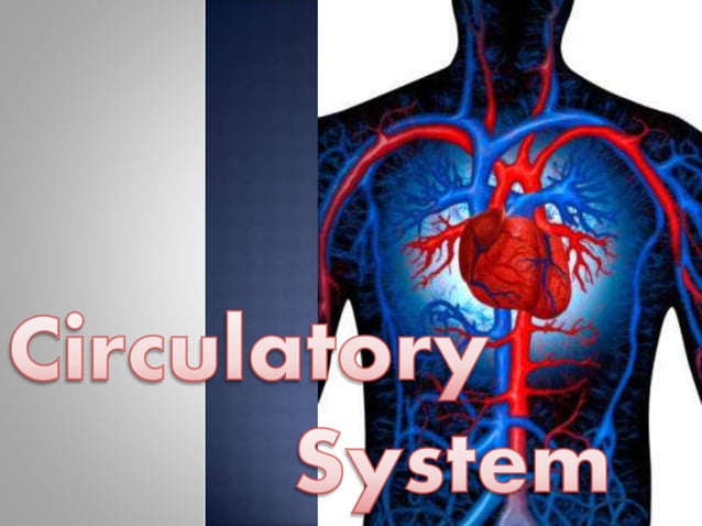 Respiratory & Circulatory System | PPTX