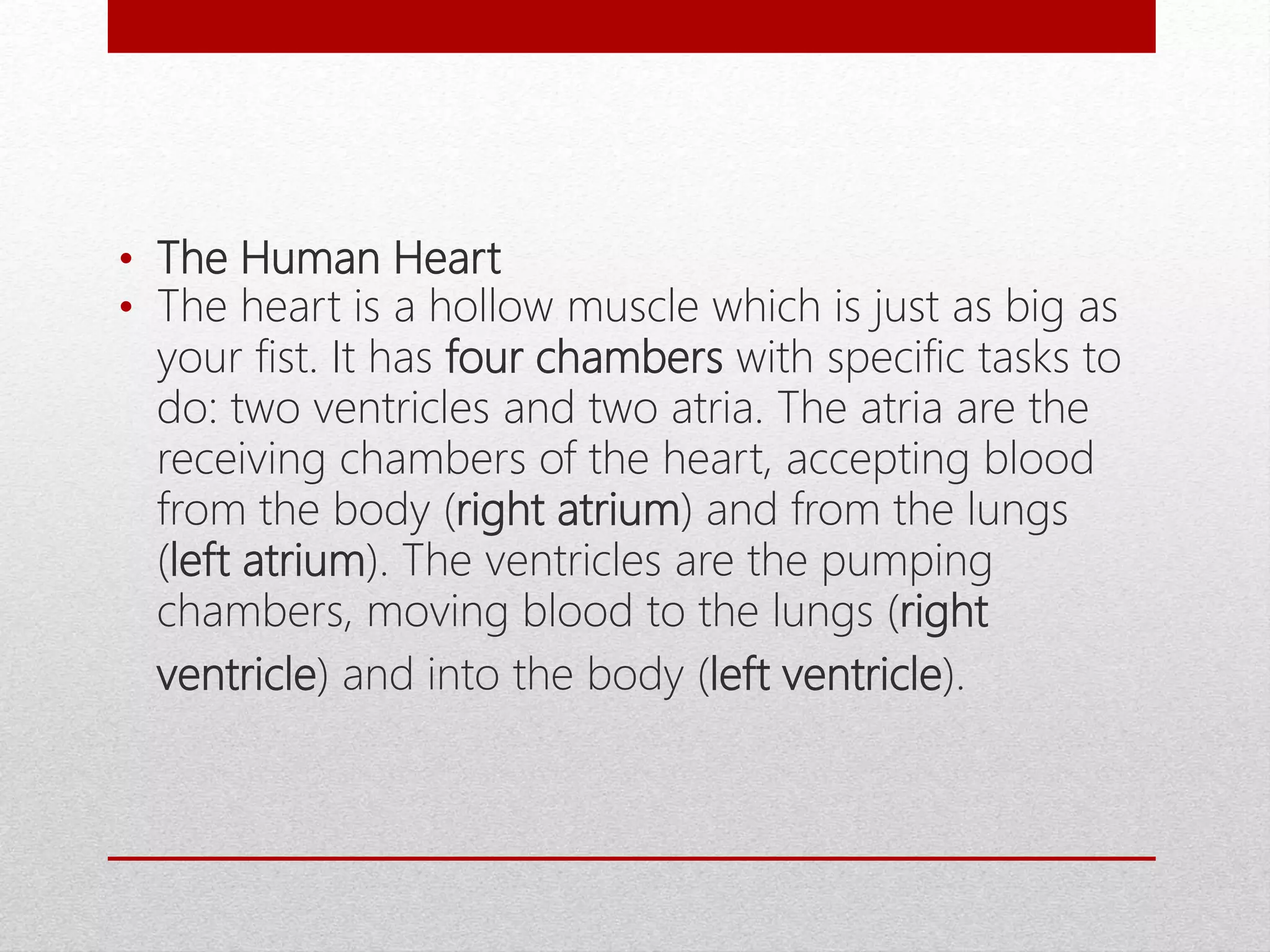 Respiratory & Circulatory System.pptx | Heart and Cardiovascular ...